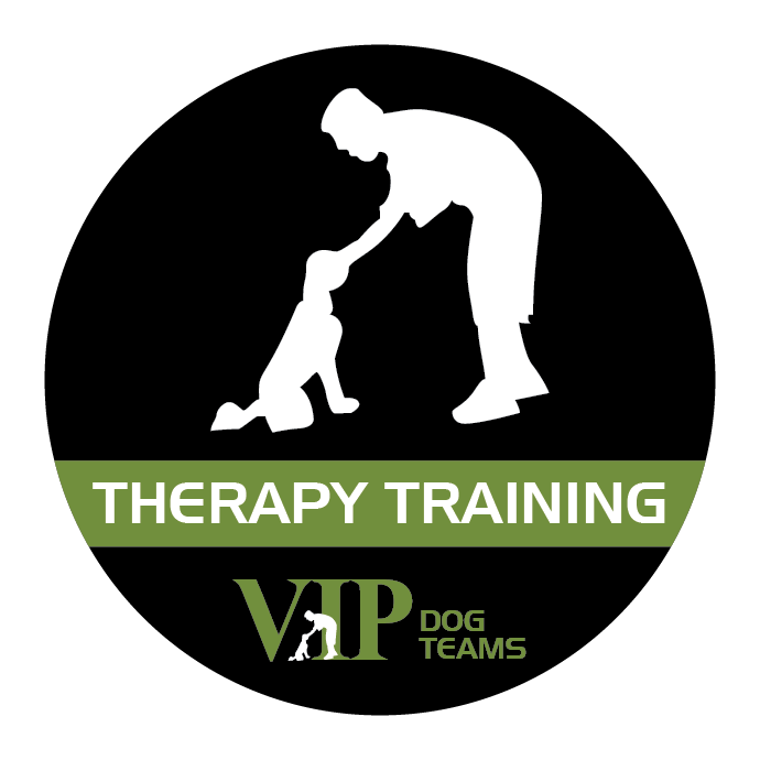 Train Your Dog for Therapy Dog Success with VIP Dog Teams