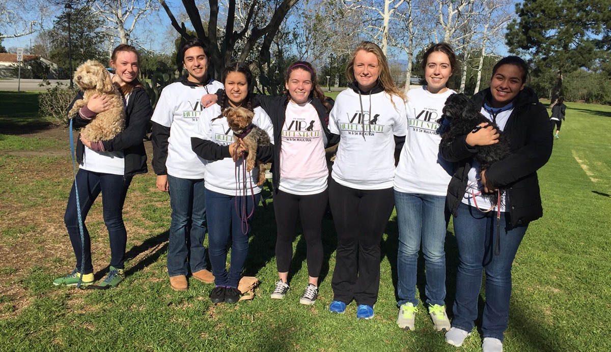 Join Our Mission: Become a Volunteer with VIP Dog Teams