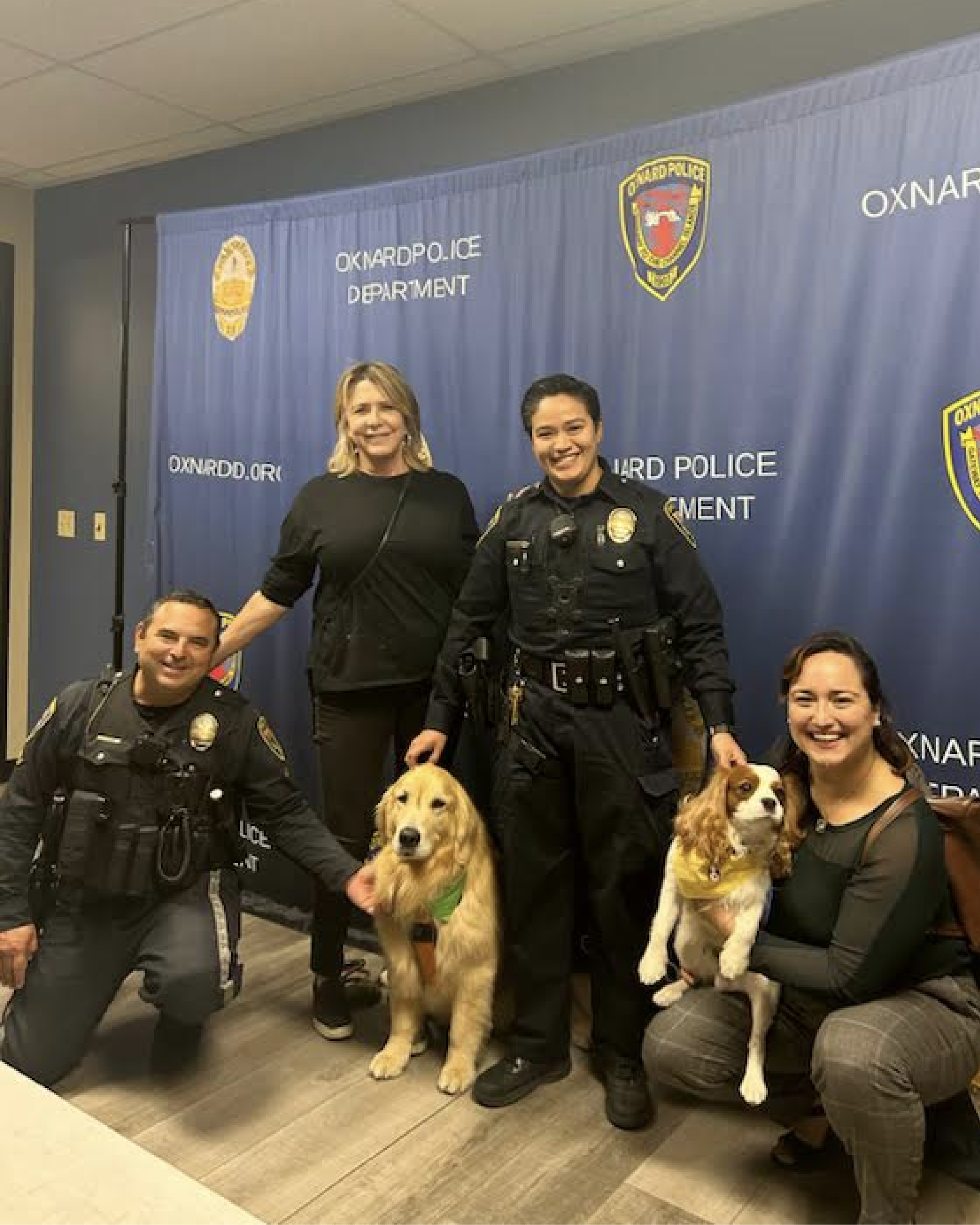 VIP Dog Teams' Transformative Programs: Comfort and Support for Communities