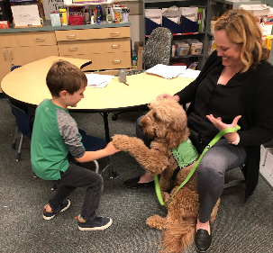 Fostering Healing in Education: Our School Facility Dog Program