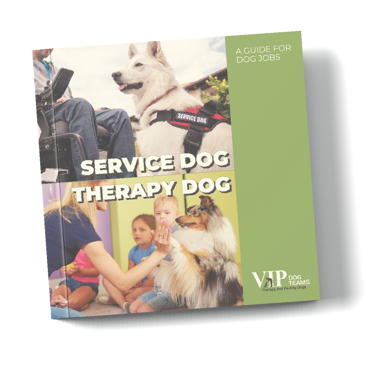 Therapy Dogs Education: FAQs and Training Resources