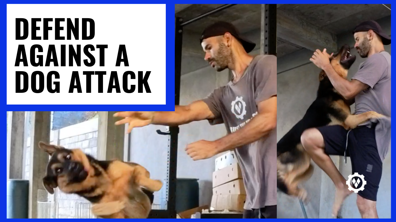 How To Defend Against A Dog Attack