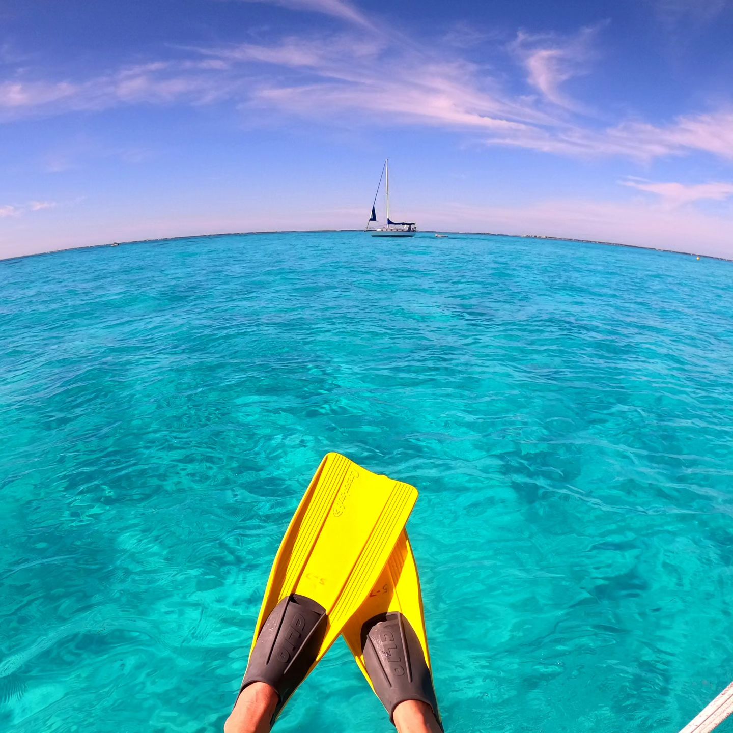 Contact Clearly Unique Charters | Book Islamorada Tours