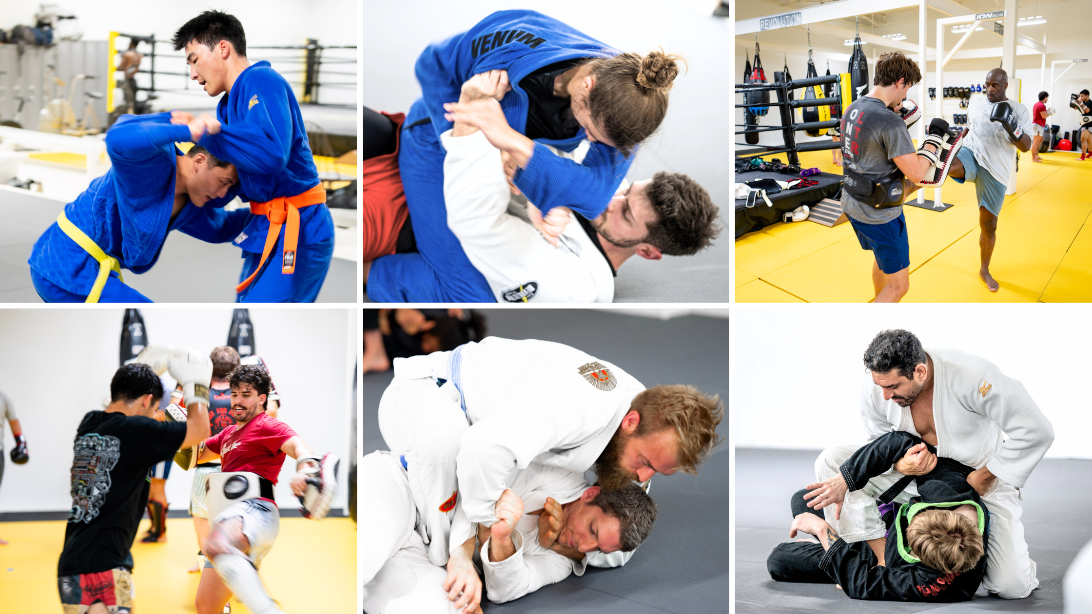Revolution Dojo Houston Blog