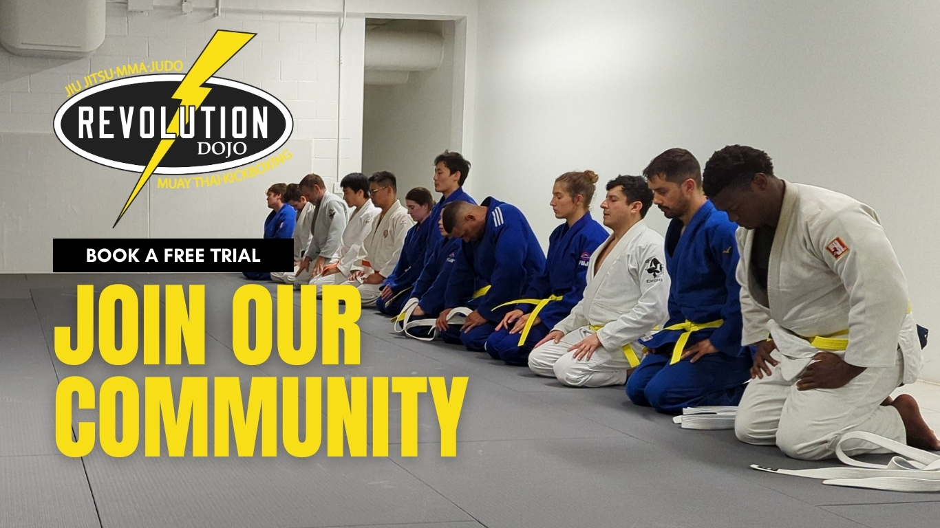Revolution Dojo Houston Schedule