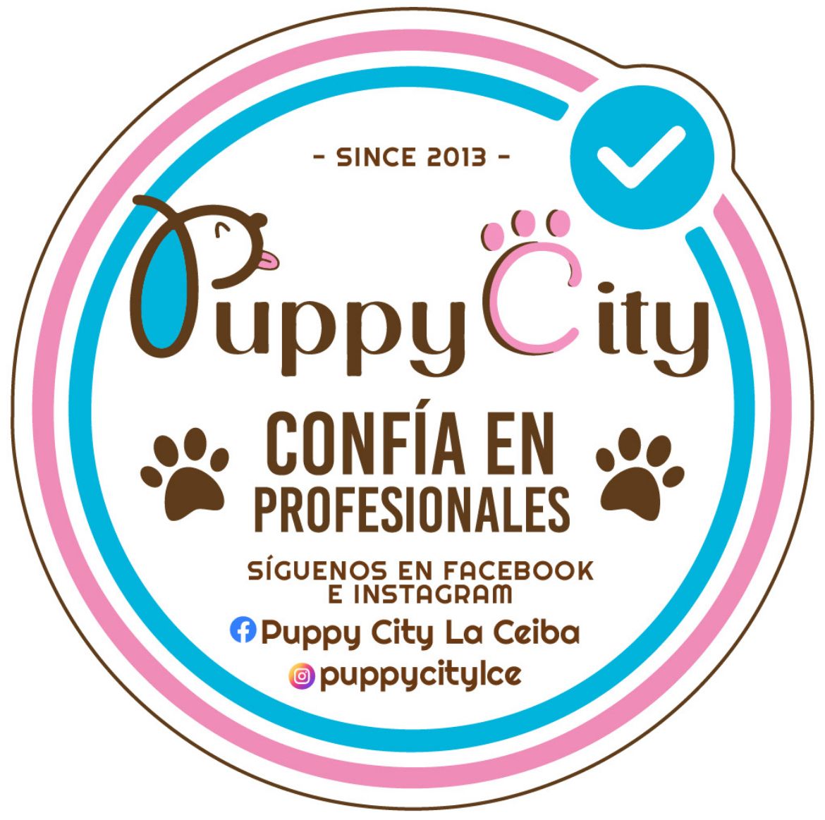 Puppy City | Spa para Perros en La Ceiba 🐶