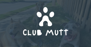Club Mutt Dog Walking Services | Hamilton Ontario