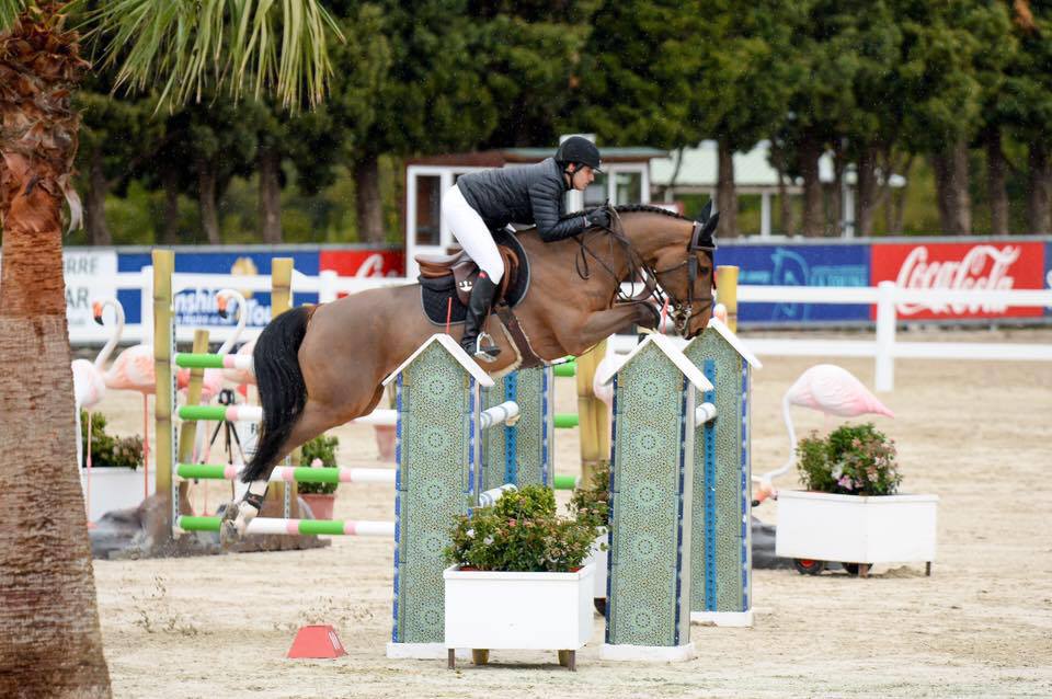 Highland Park Riding School