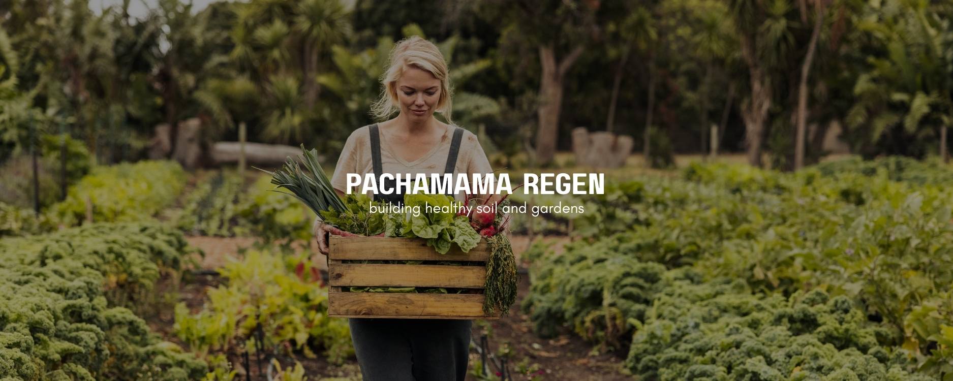 Pachamama Regen | Healthy Soil Healthy Gut