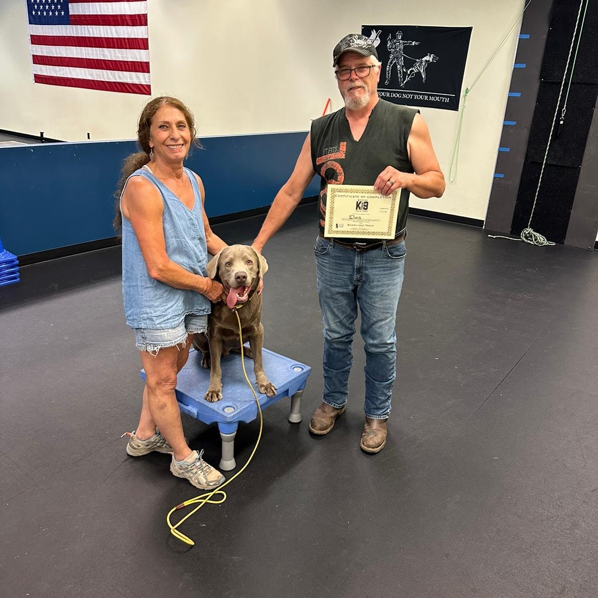 Modern K9 Plans & Pricing - St. Louis MO Dog Trainers