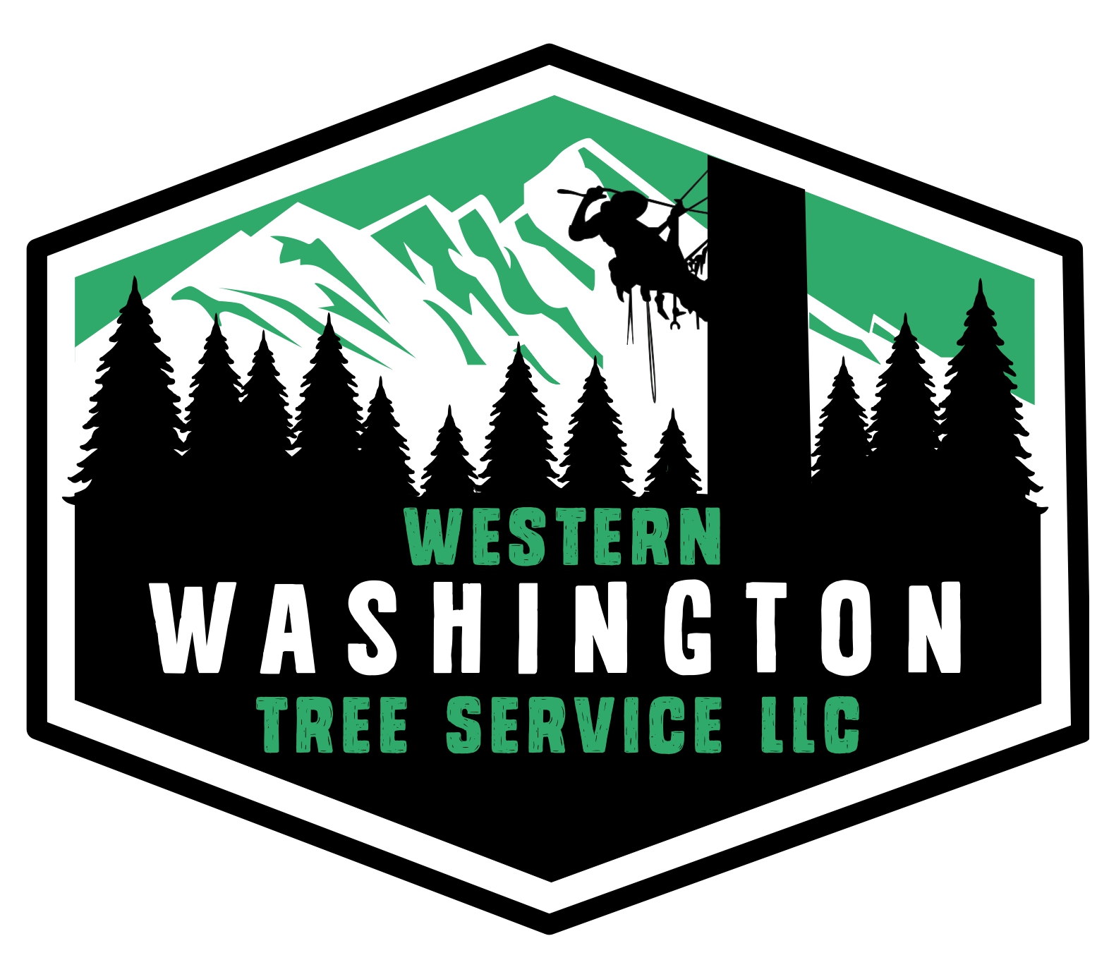 Professional Land Clearing in Redmond, WA