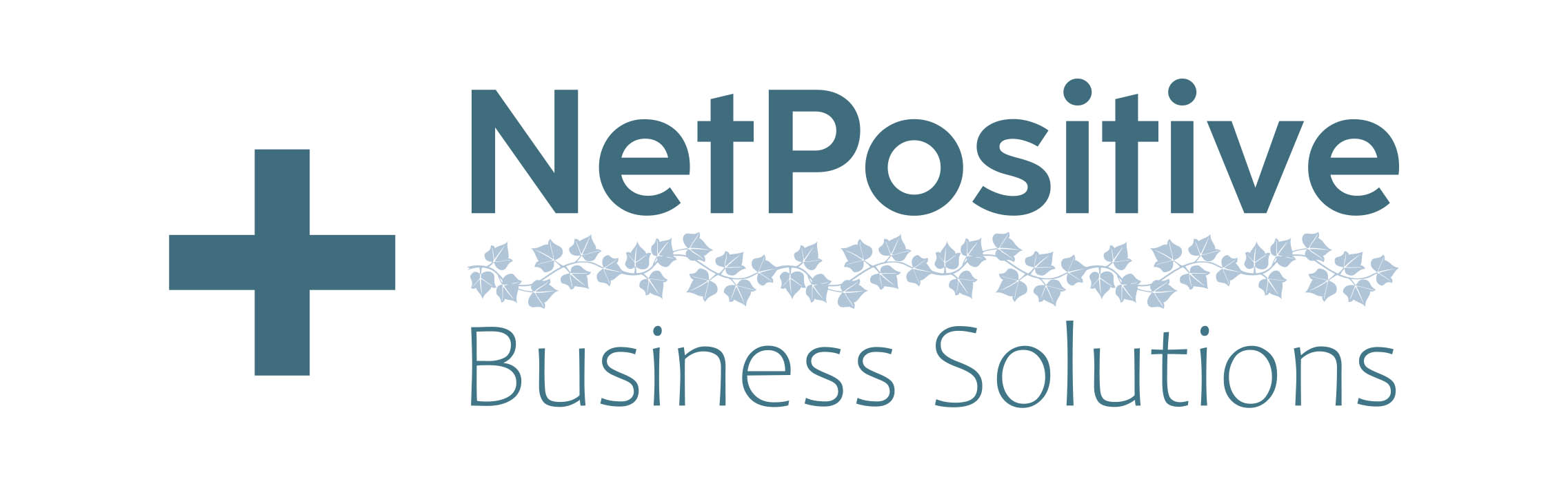 About | NetPositive Business Solutions