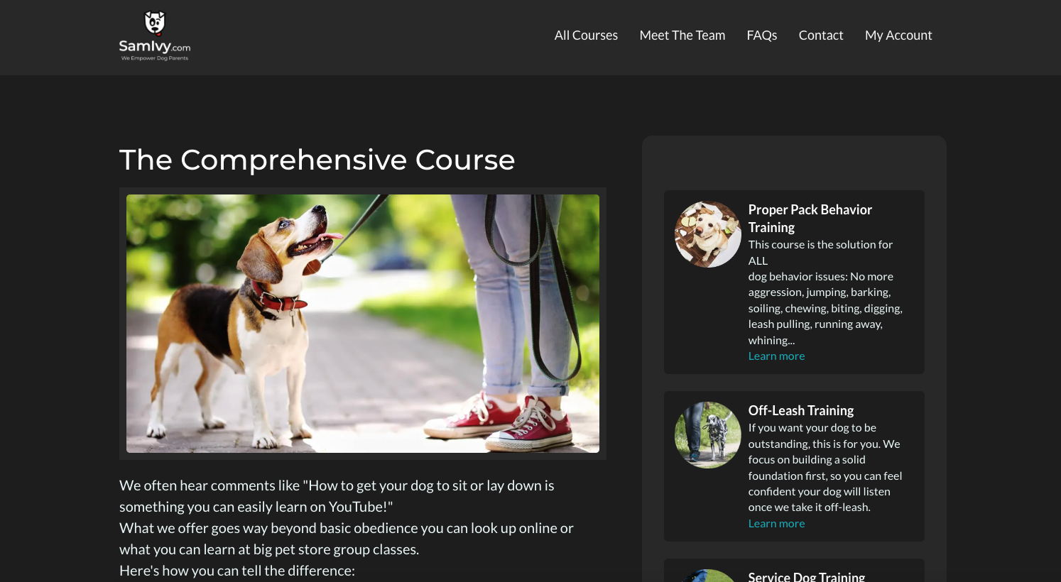 Team SamIvy | The Comprehensive Course