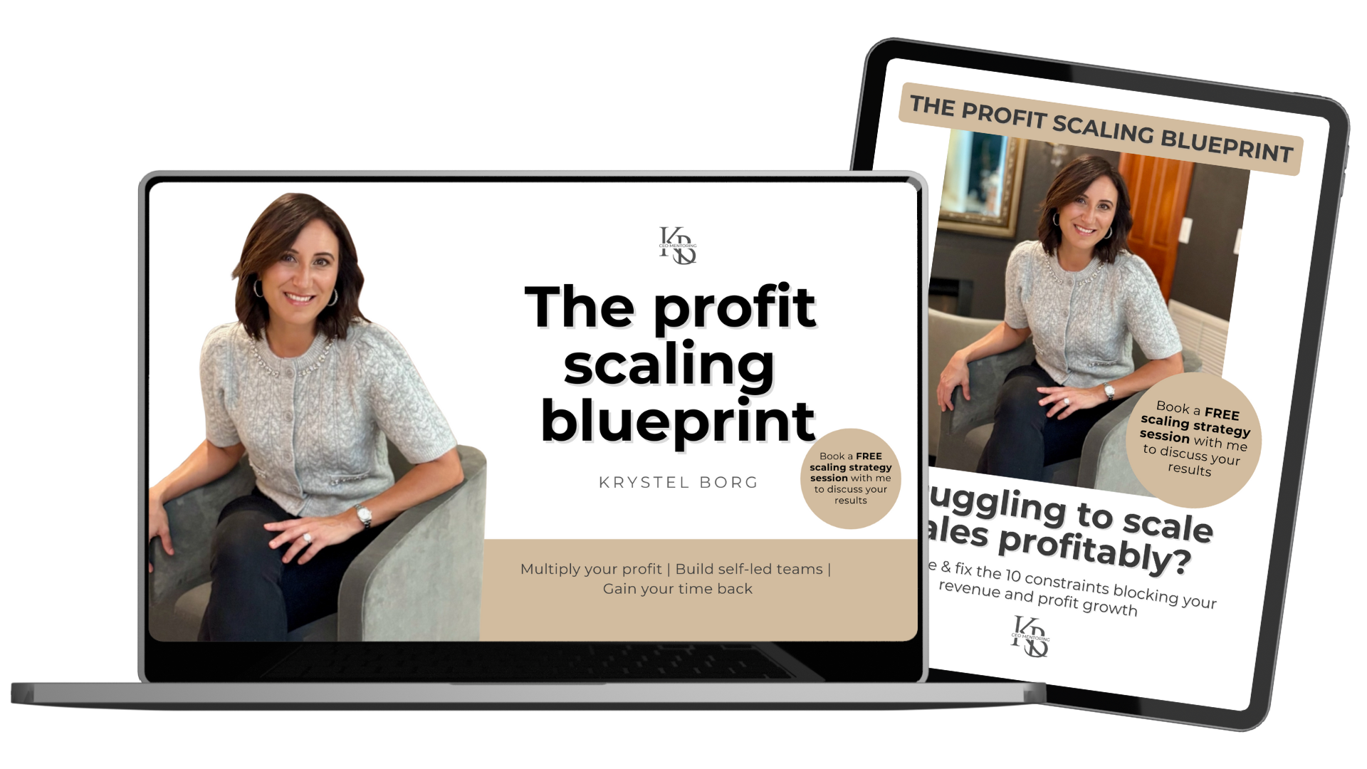 The profit scaling blueprint