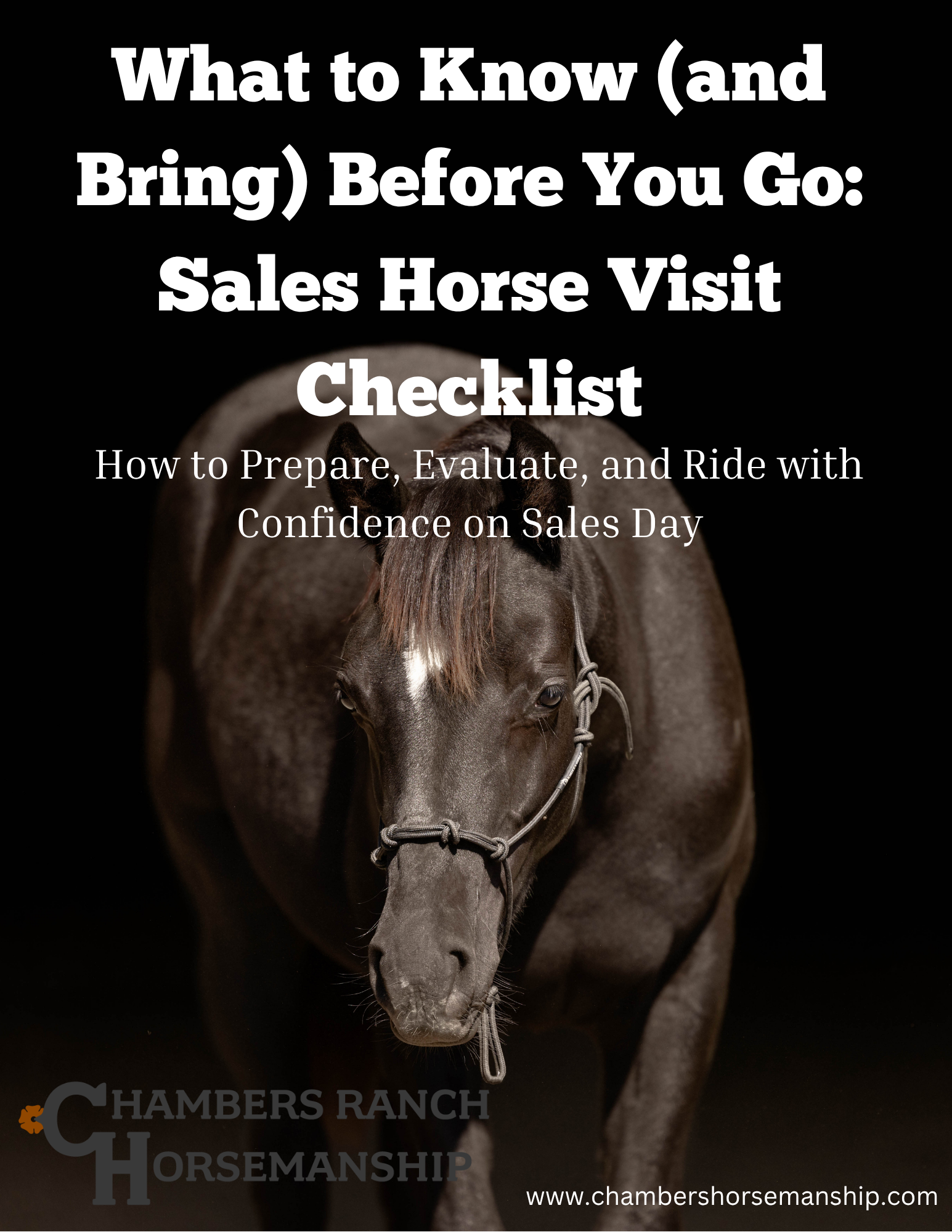 What to Know (and Bring) Before You Go: Sales Horse Visit Checklist