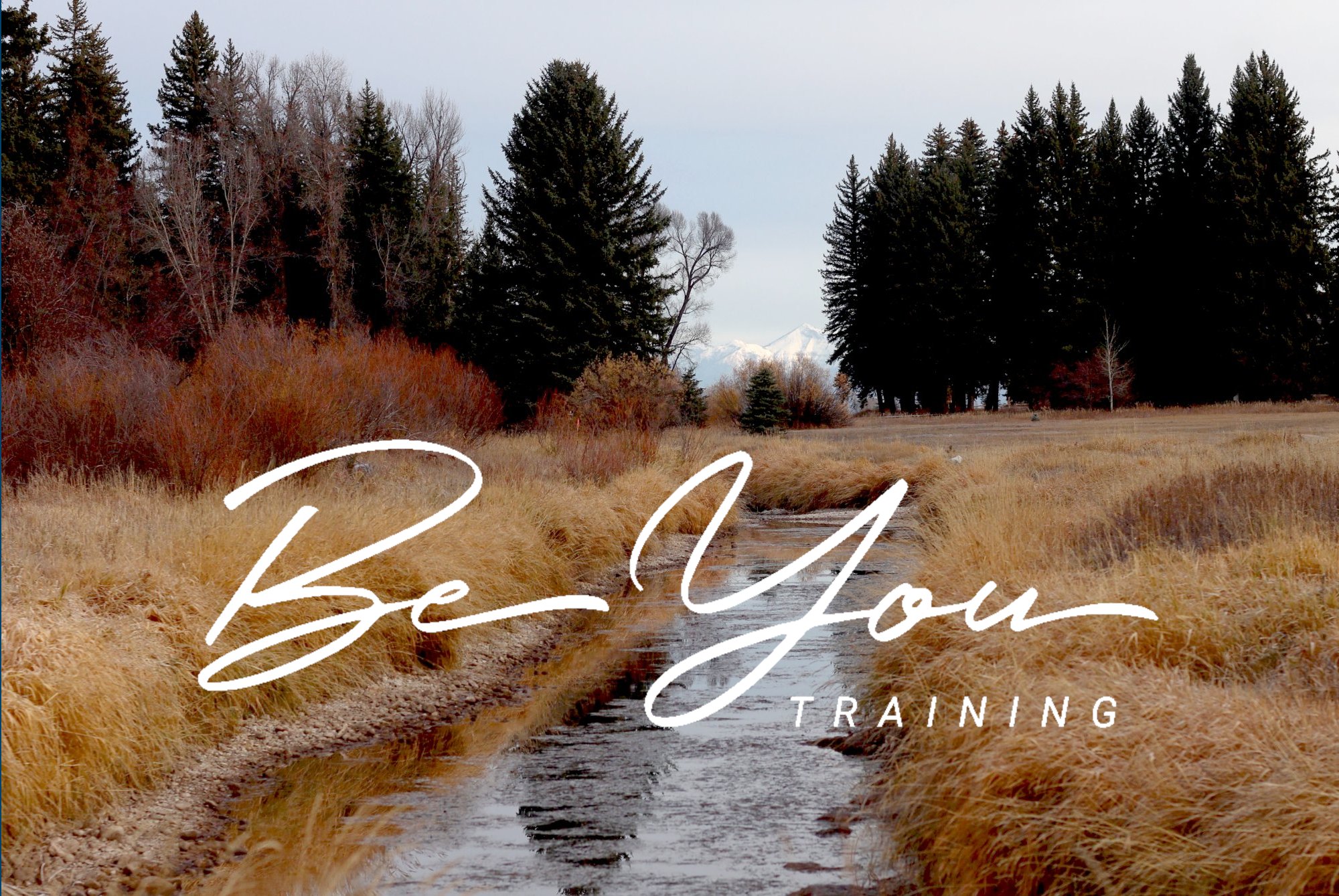 Be You Training