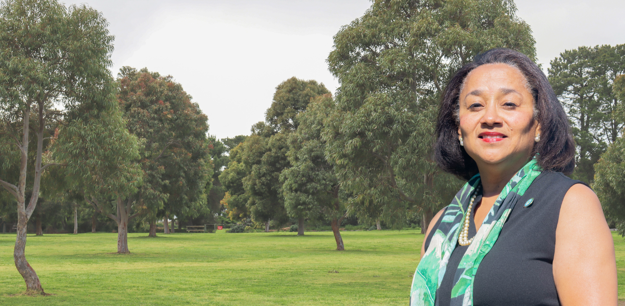 Initiatives | Councilwoman Patricia Hendricks Farmer