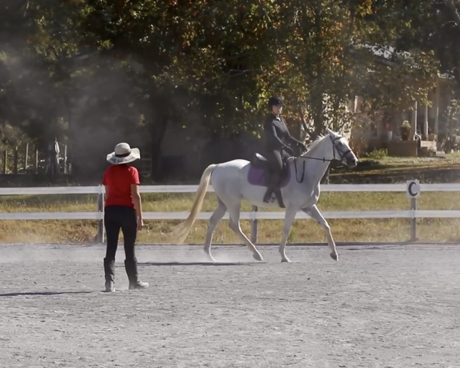 Bronze Level Package I STARS Sporthorses