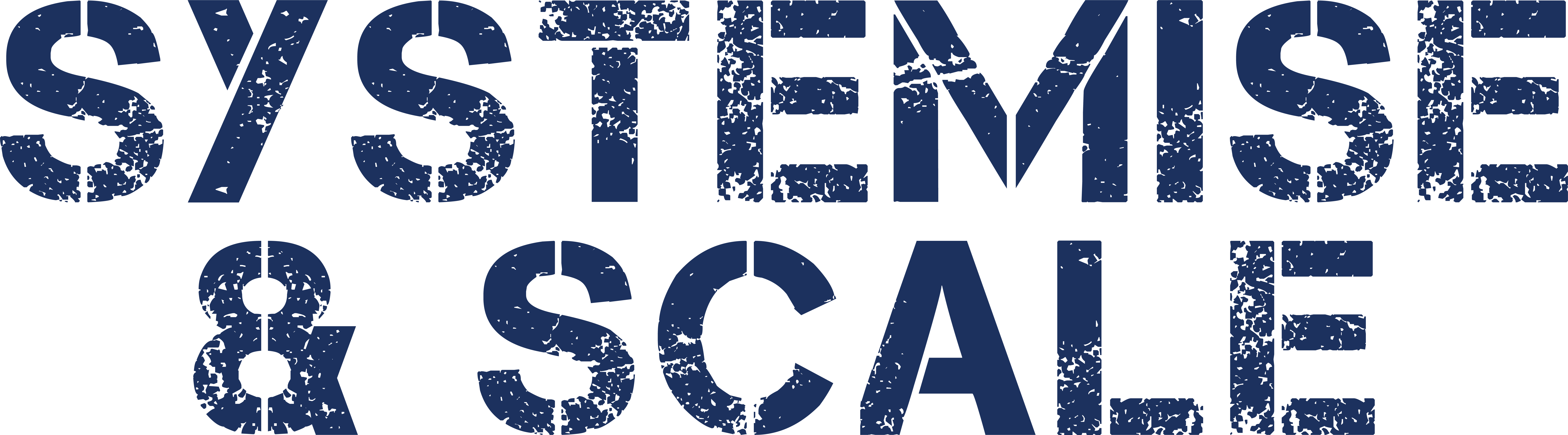 Predictable Business Growth with Systemise & Scale™