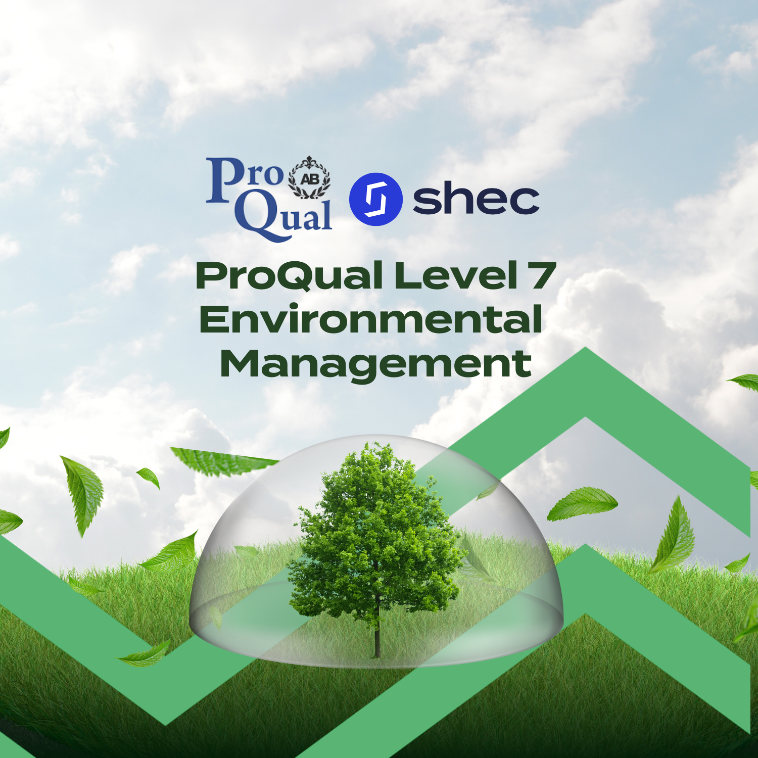 Level 7 Environmental Management Course | Strategic Sustainability ...