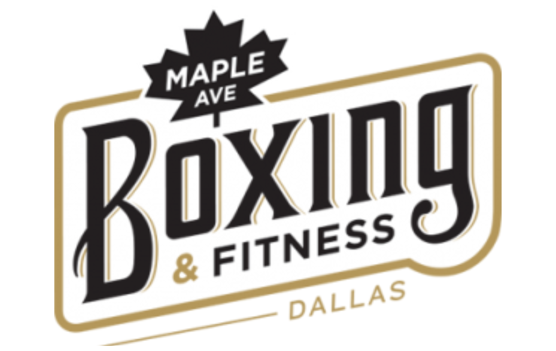 Photo Gallery | Maple Ave Boxing Gym