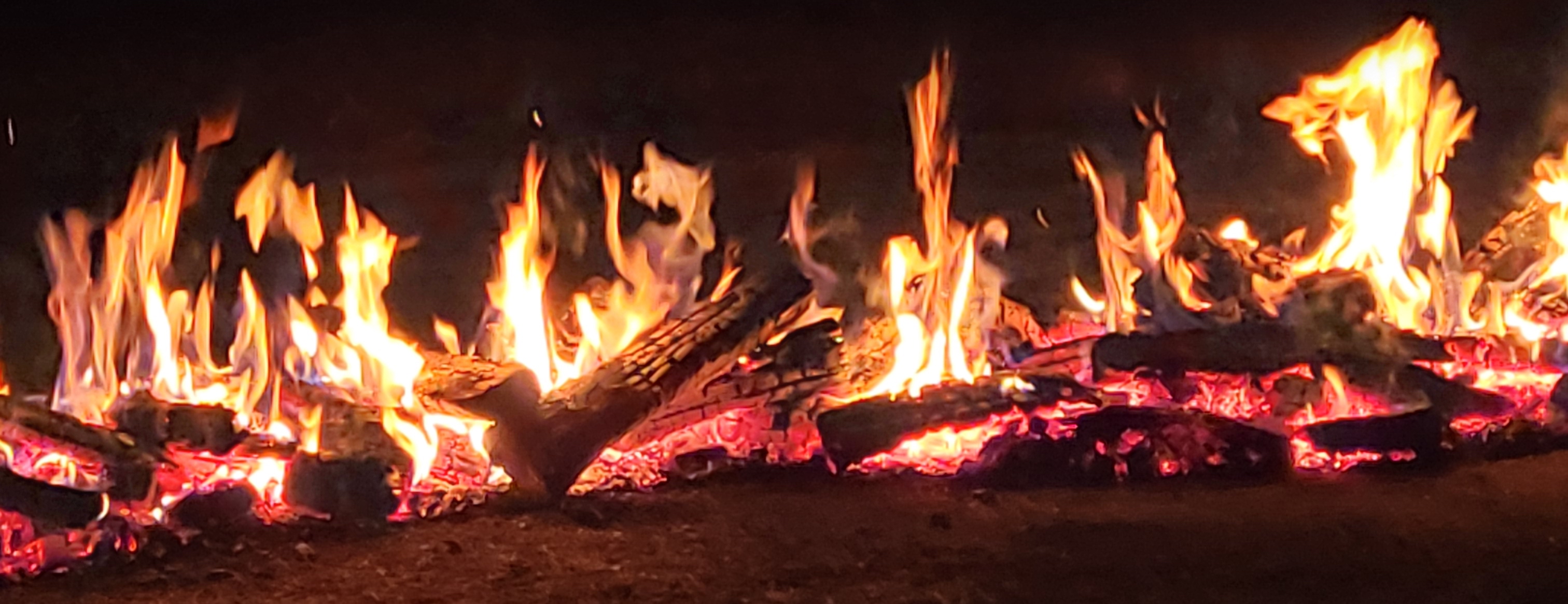 Whispers of Nature | Spring Fire Walk