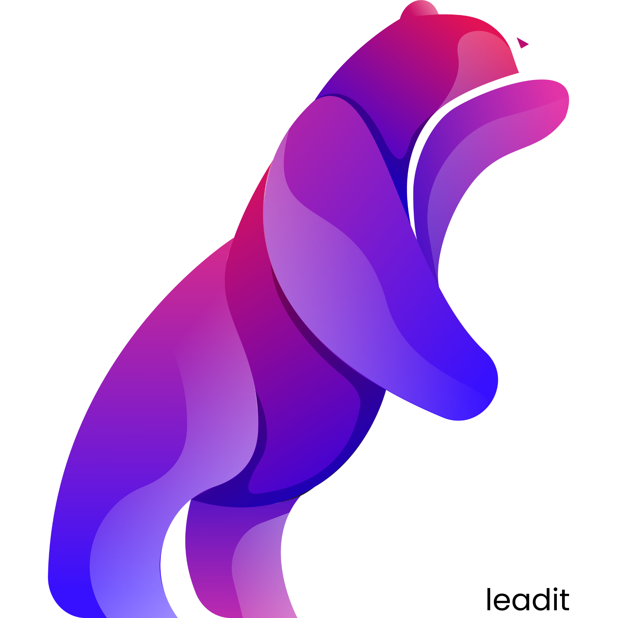 LeadIt Digital