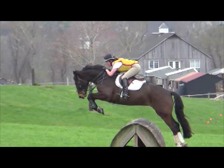 Freebie | Irish Manor Stables