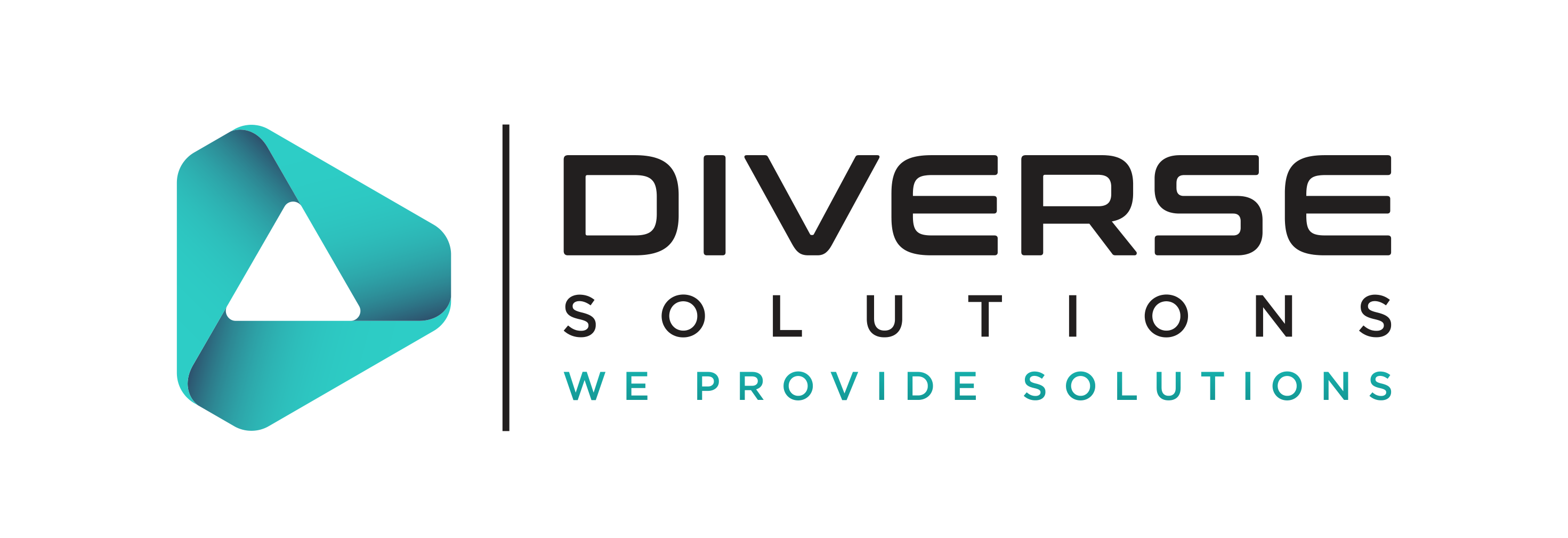 Diverse Solutions Credit Repair