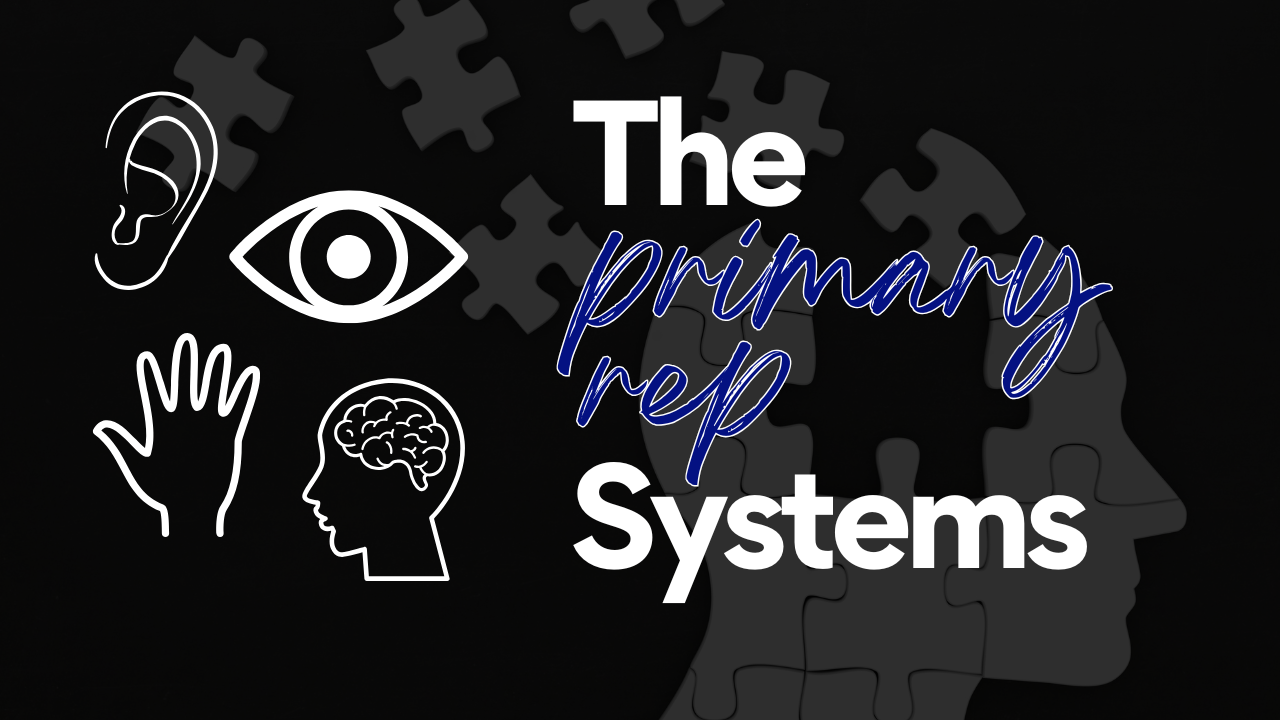 Primary Rep Test | Life By Eight